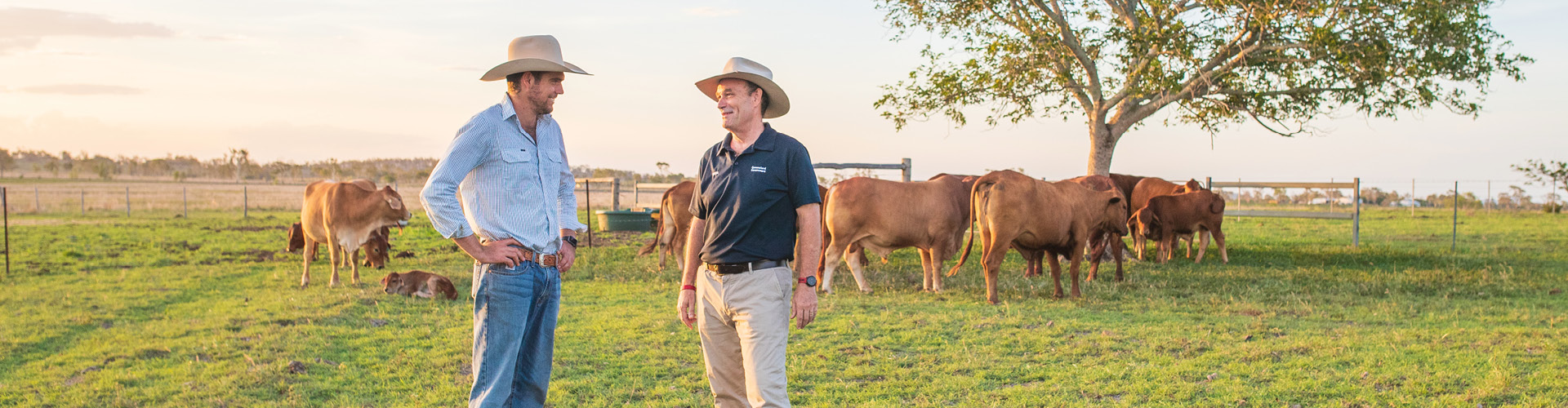 Delivering financial assistance for rural and regional